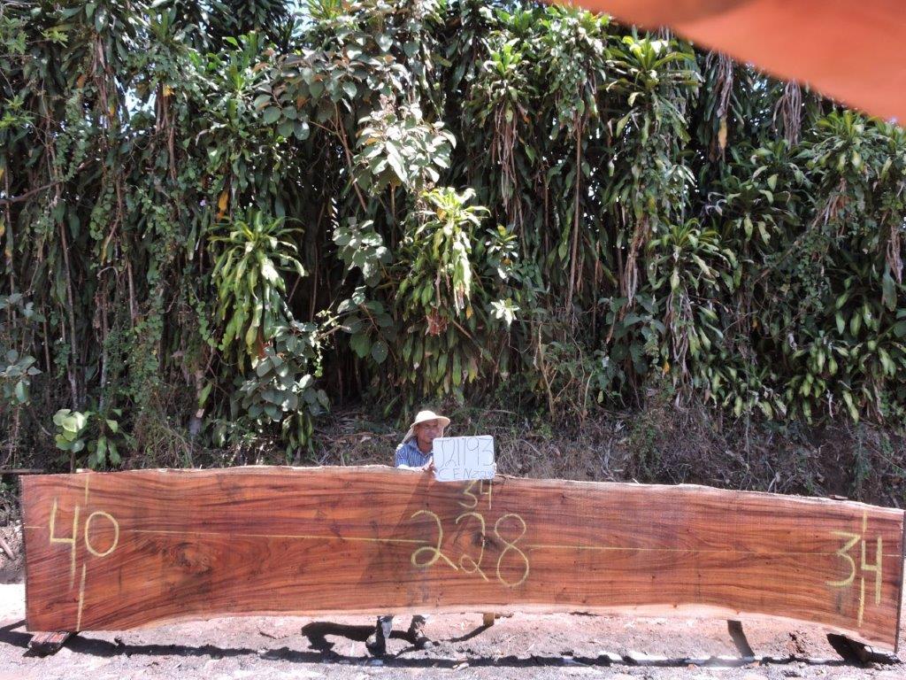 MONKEY POD (228"x36"x3") – Cedar Ridge Products